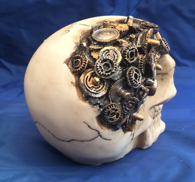 Steampunk Clockwork Cranium Skull by Nemesis Now – Aeon Leather